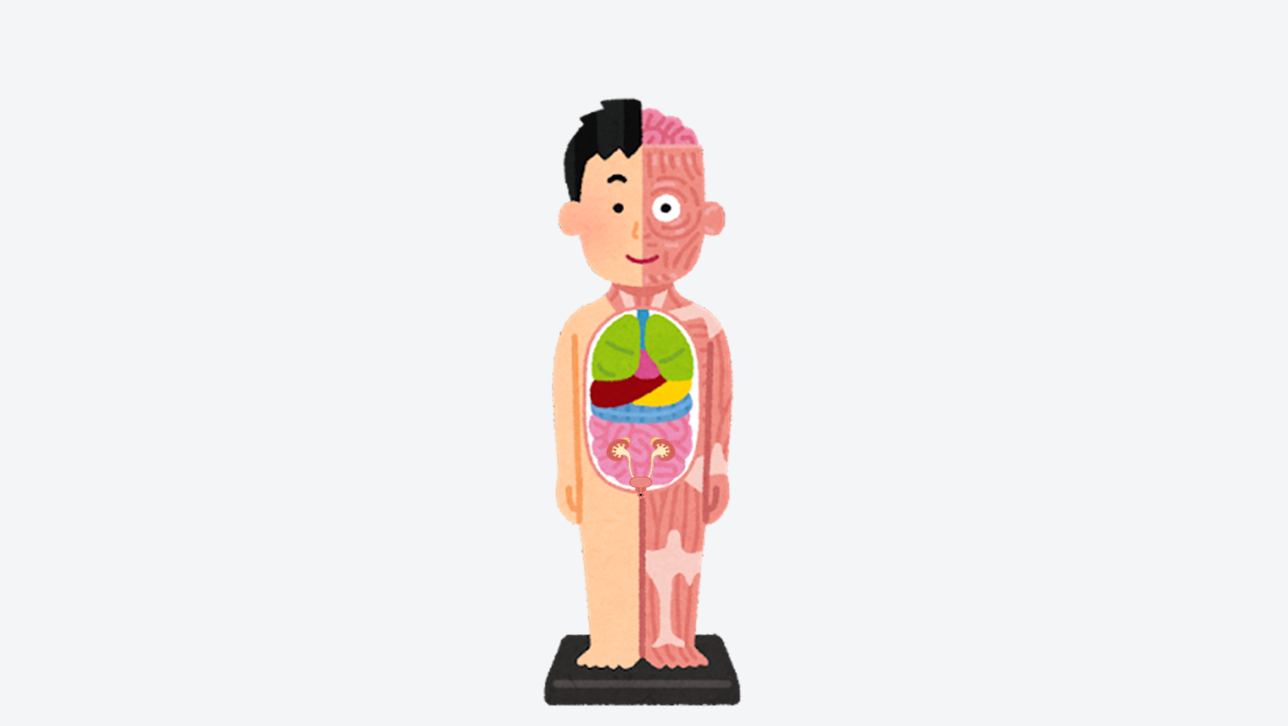 Japanese E-learning Website | Learn Essential Japanese Human Organs ...