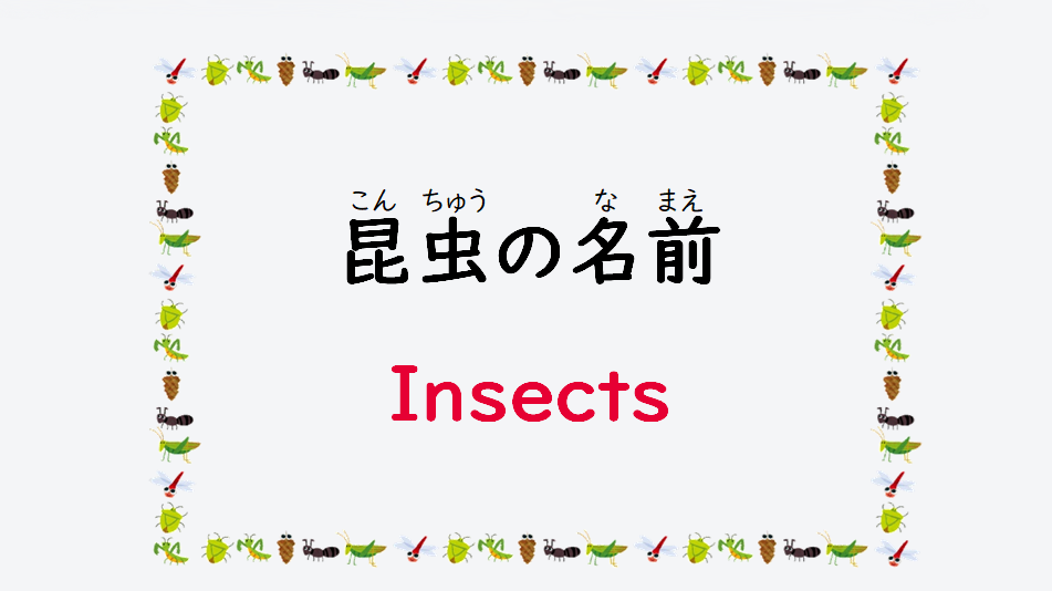 Japanese E-learning Website | Essential Japanese Vocabulary: Insect ...
