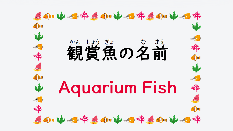 Japanese E-learning Website | Essential Japanese Vocabulary: Aquarium ...